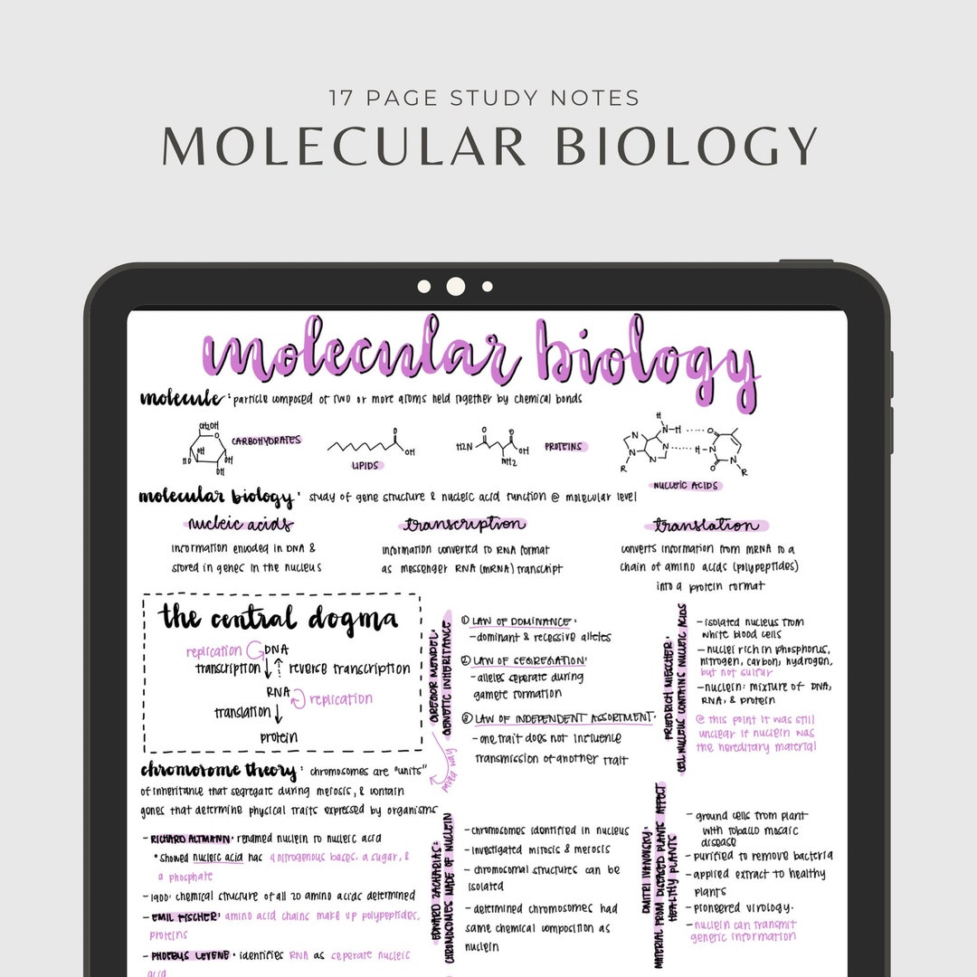 Molecular Biology Study Notes - Etsy