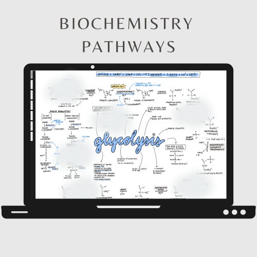 MCAT Comprehensive Biochemistry Metabolic Pathway Study Guide - Etsy MCAT Comprehensive Biochemistry Metabolic Pathway Study Guide - Etsy