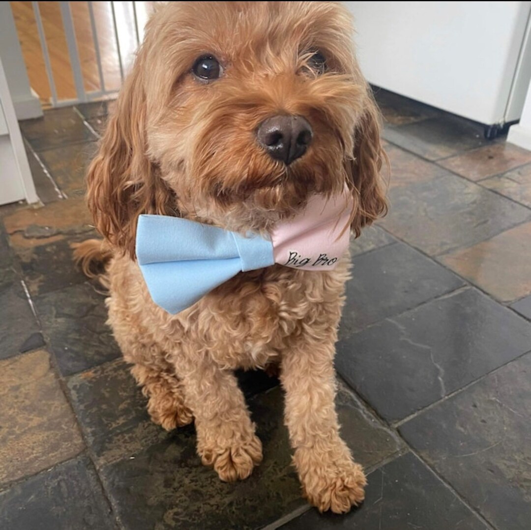 PERSONALISED Custom Dog Bow Ties - Etsy