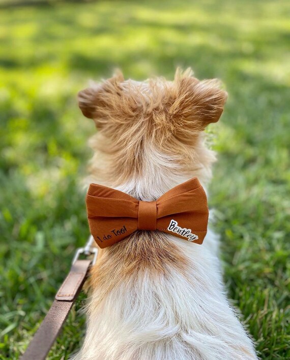 Male dog bow ties store
