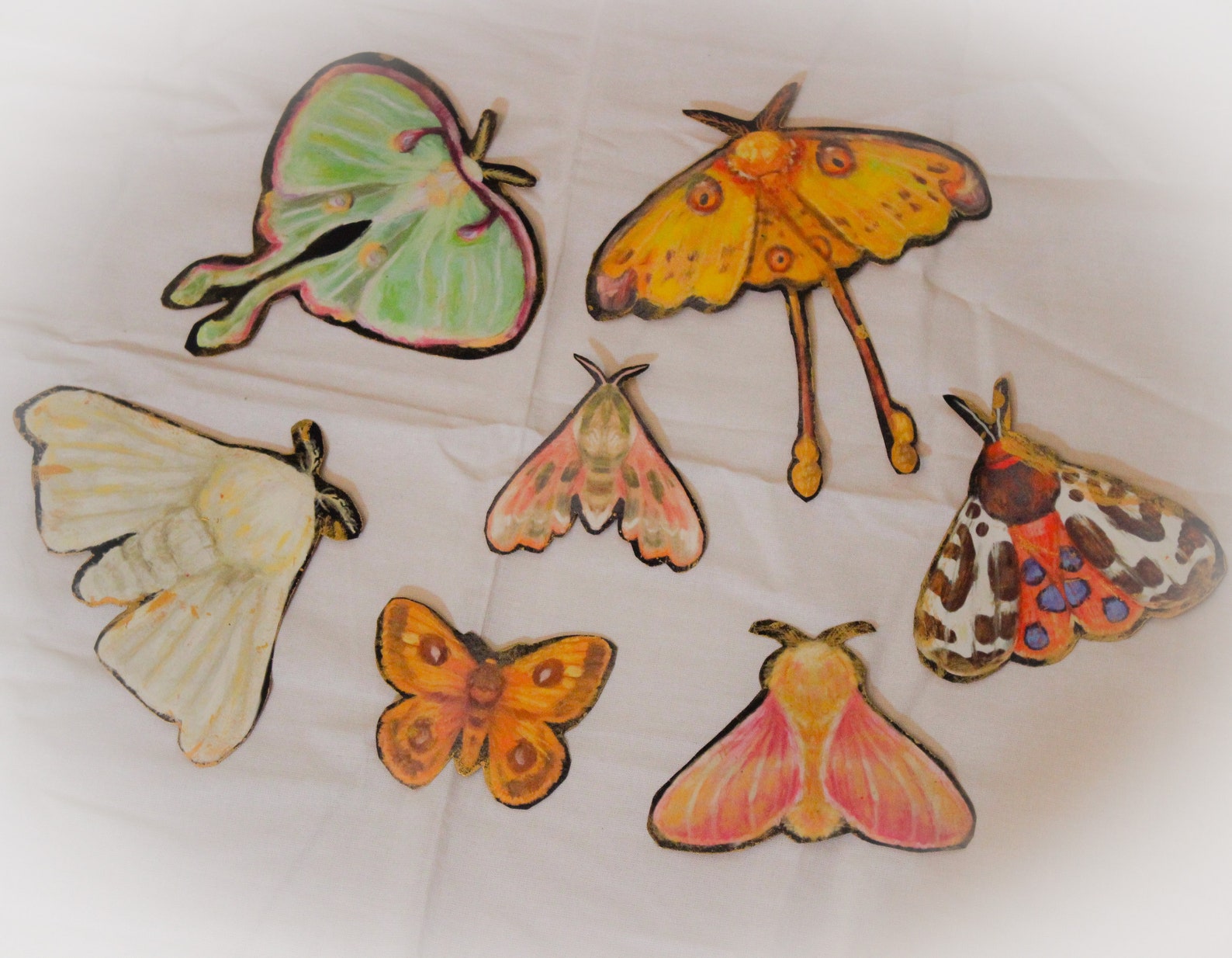 Paper Wall Moths Art Illustration Gold Underside/ Luna Moth, Rosy Maple ...