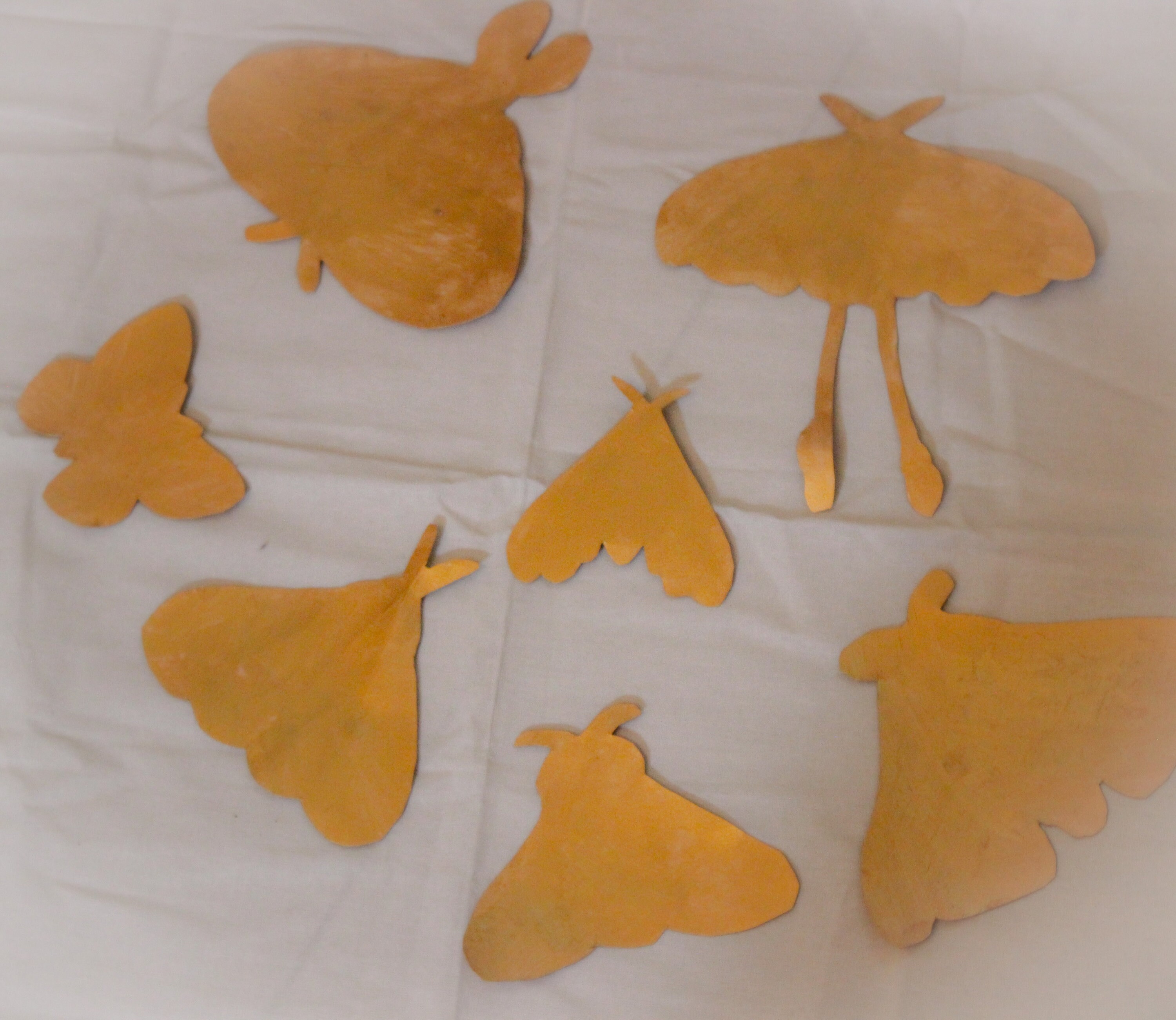 Paper Wall Moths Art Illustration Gold Underside/ Luna Moth, Rosy Maple ...