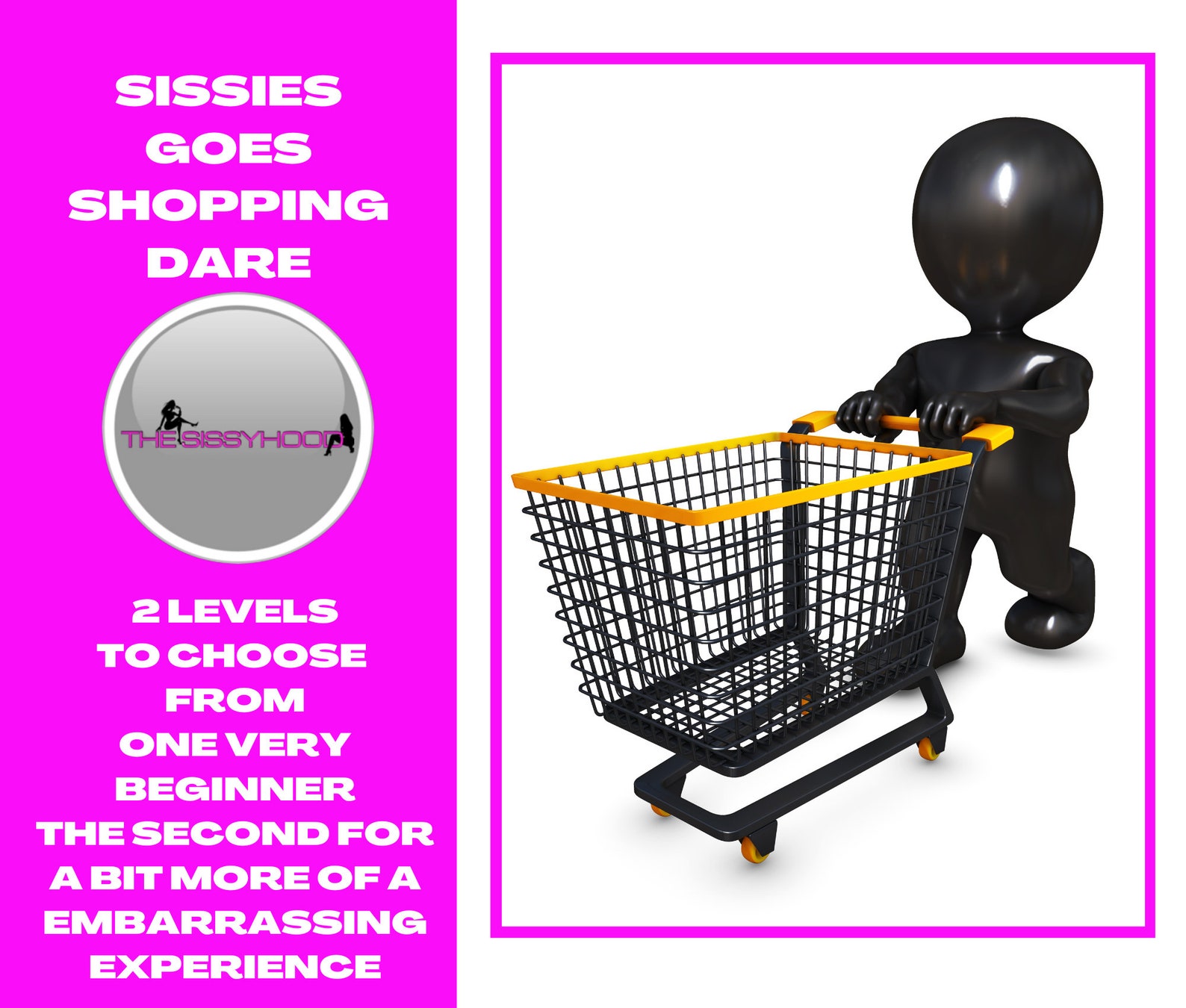 Humiliation Tasks For Submissive Training Sissy Task Sissy Training Femdom Submissive Game