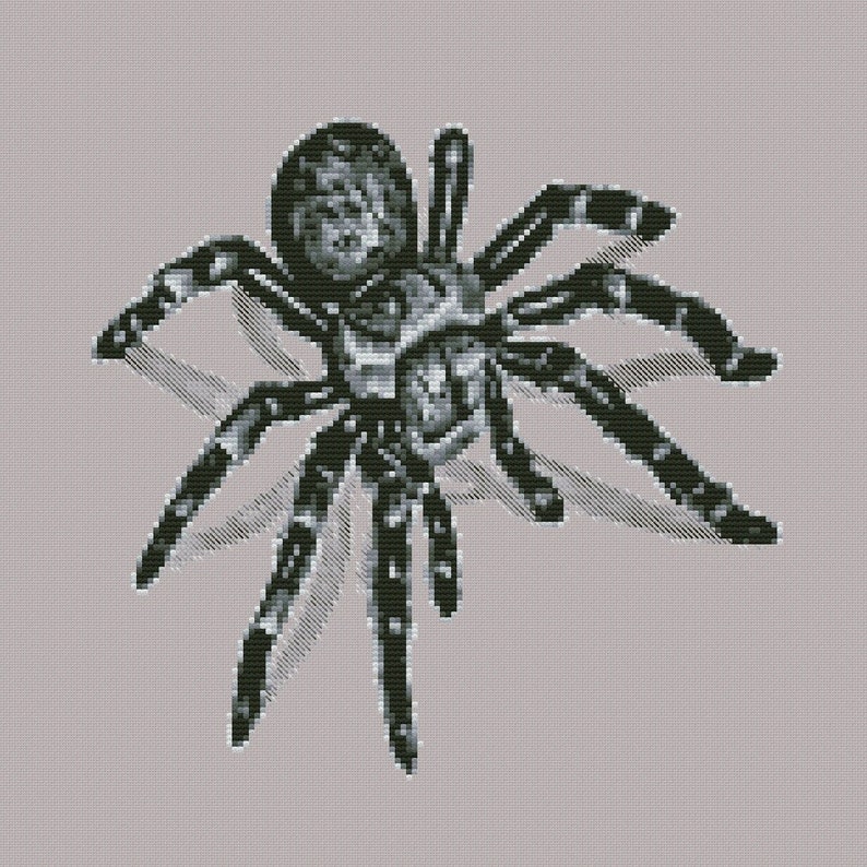 3d Spider Cross Stitch Pattern DMC Chart Two Color Variations - Etsy