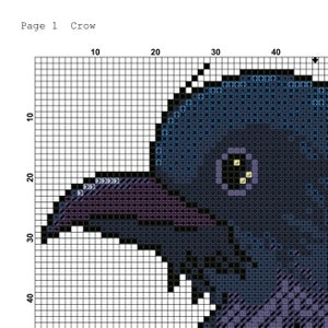 Crow Cross Stitch Pattern DMC Chart Two Color Variations Needlepoint ...