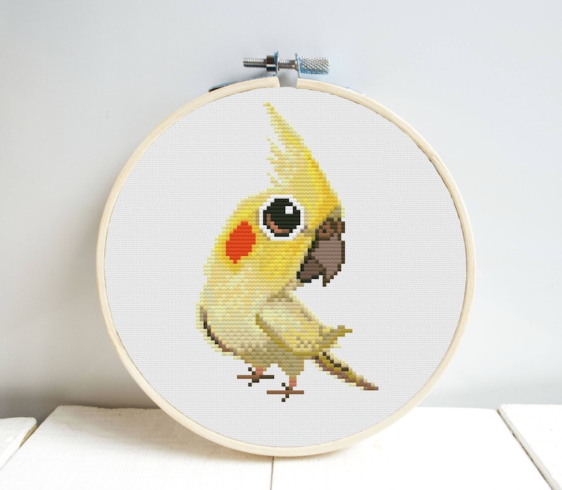 Parrot Cross Stitch Pattern DMC Chart Two Color Variations - Etsy