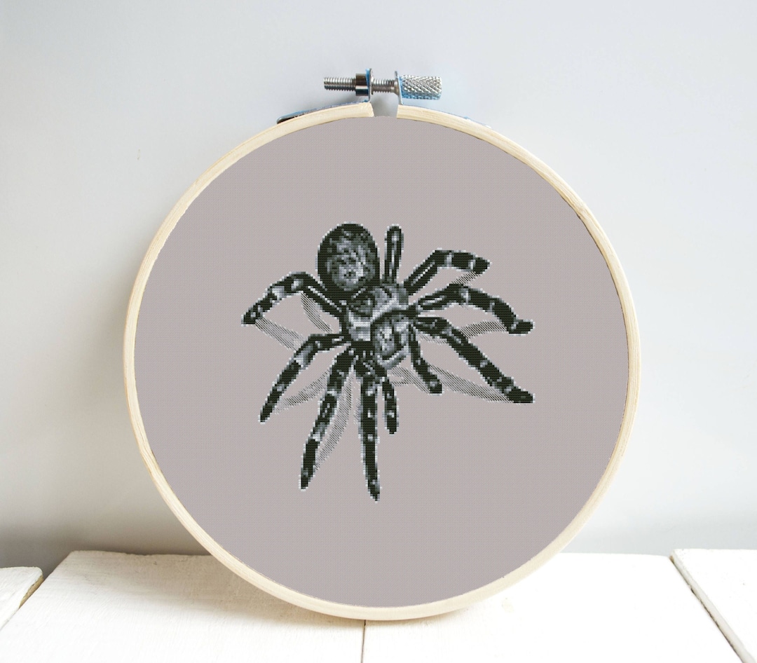 3d Spider Cross Stitch Pattern DMC Chart Two Color Variations ...
