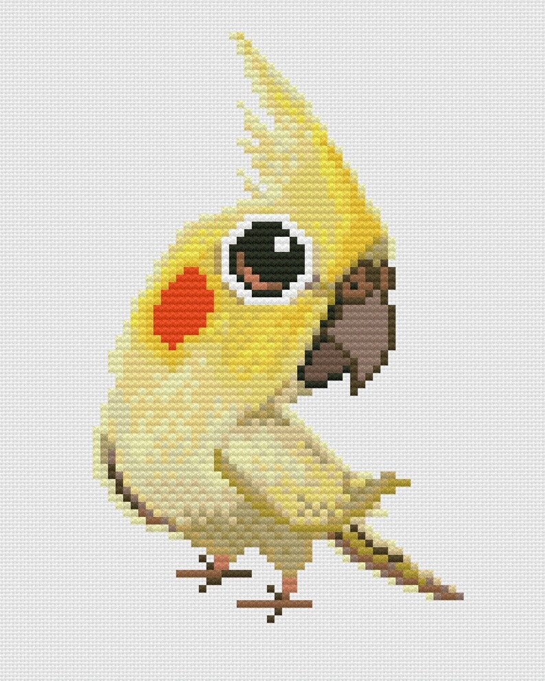 Parrot Cross Stitch Pattern DMC Chart Two Color Variations - Etsy