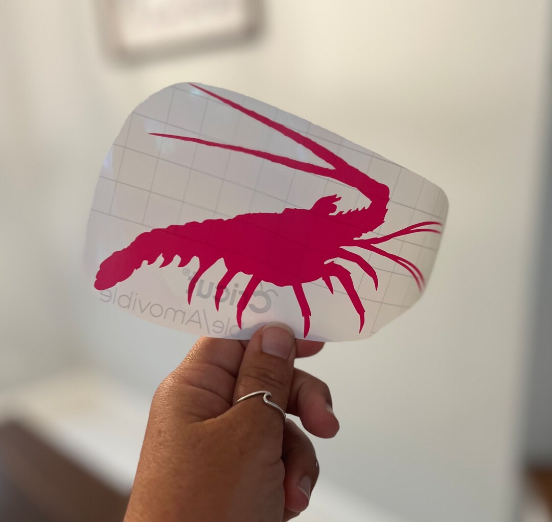 Florida Spiny Lobster Lobsterman Decal Freedive Free Diving - Etsy