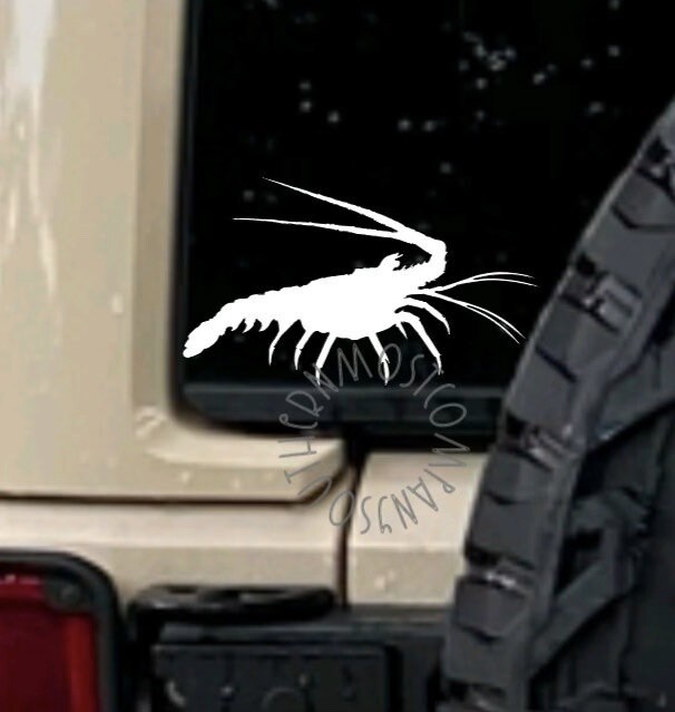 Florida Spiny Lobster Lobsterman Decal Freedive Free Diving - Etsy