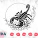 Scorpion Circle Frame SVG, Scorpion With Flower Svg, Scorpion Cut File ...