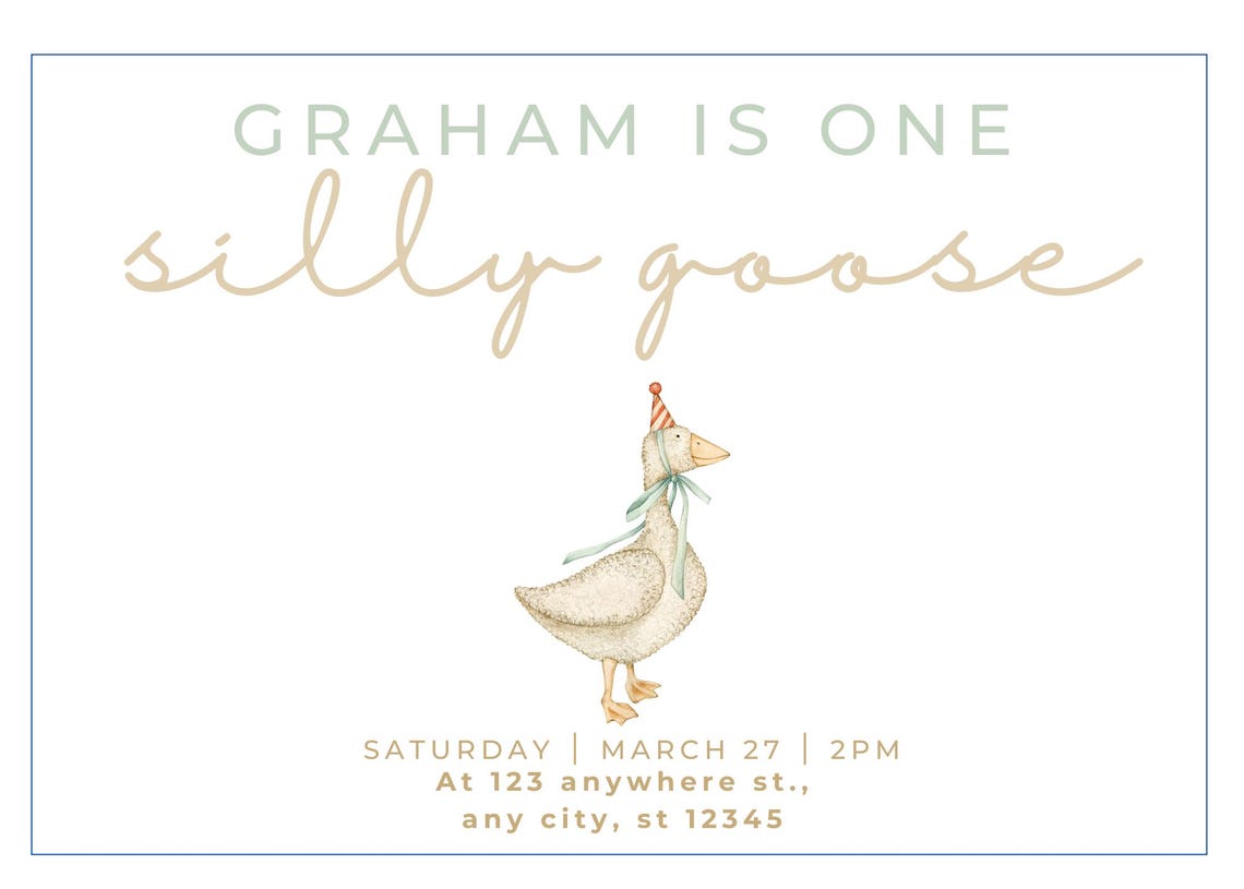 Silly Goose 1st Birthday - Etsy