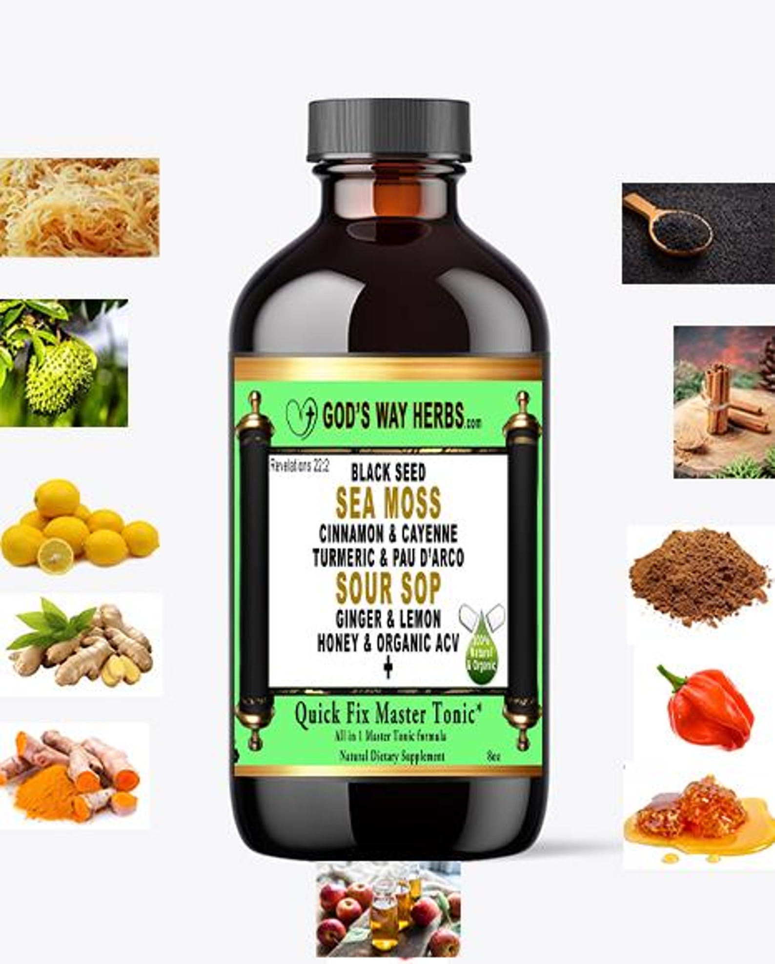 QUICK FIX Master Tonic (8oz) All in One, Dr. Sebi Inspired Sea Moss ...