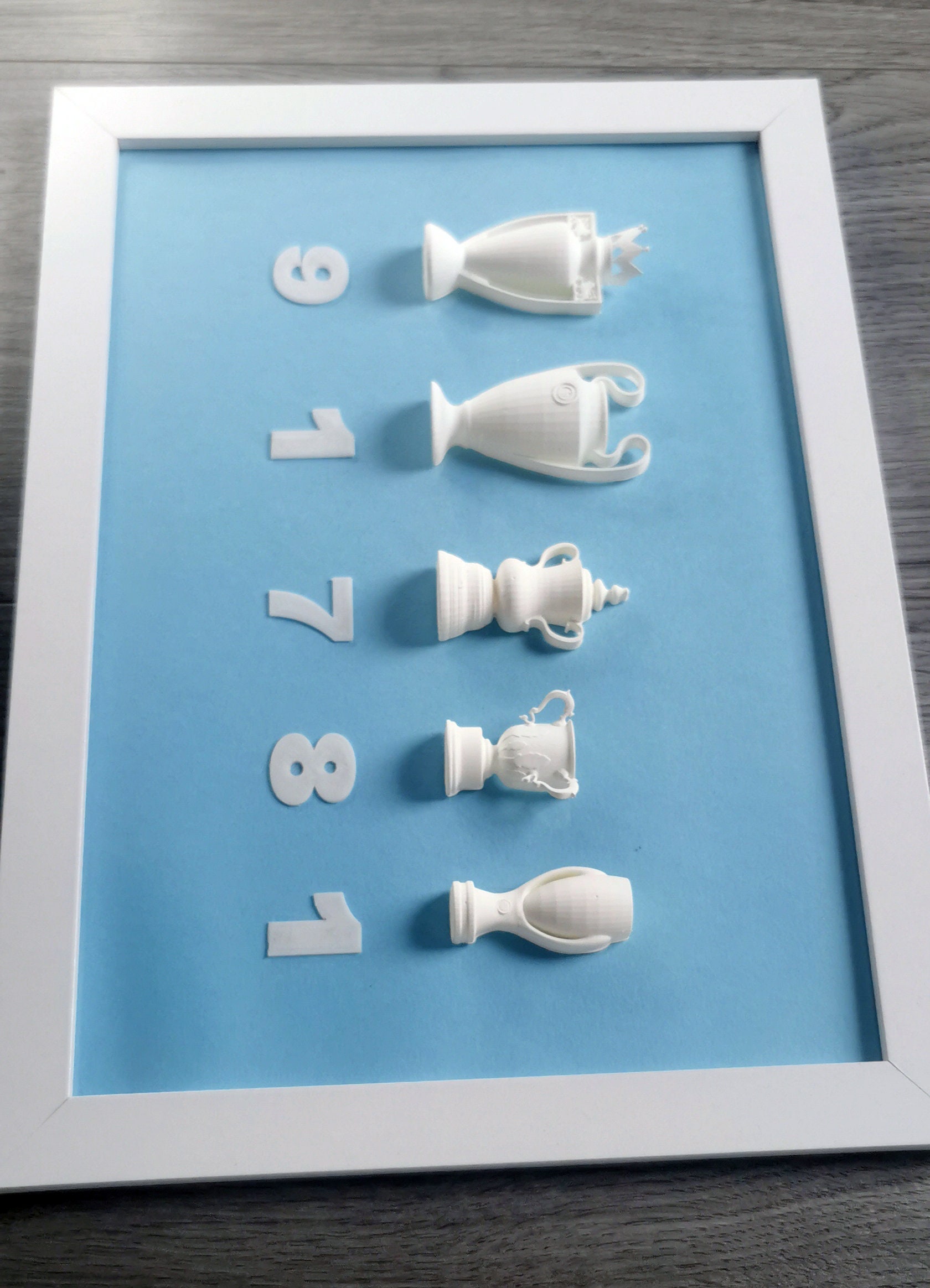 Manchester City Wall of Honours Frame - Etsy