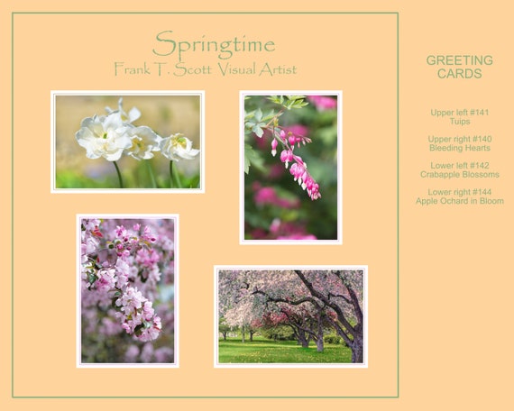 Springtime Blank Note Cards Set of Four Tulips - Etsy