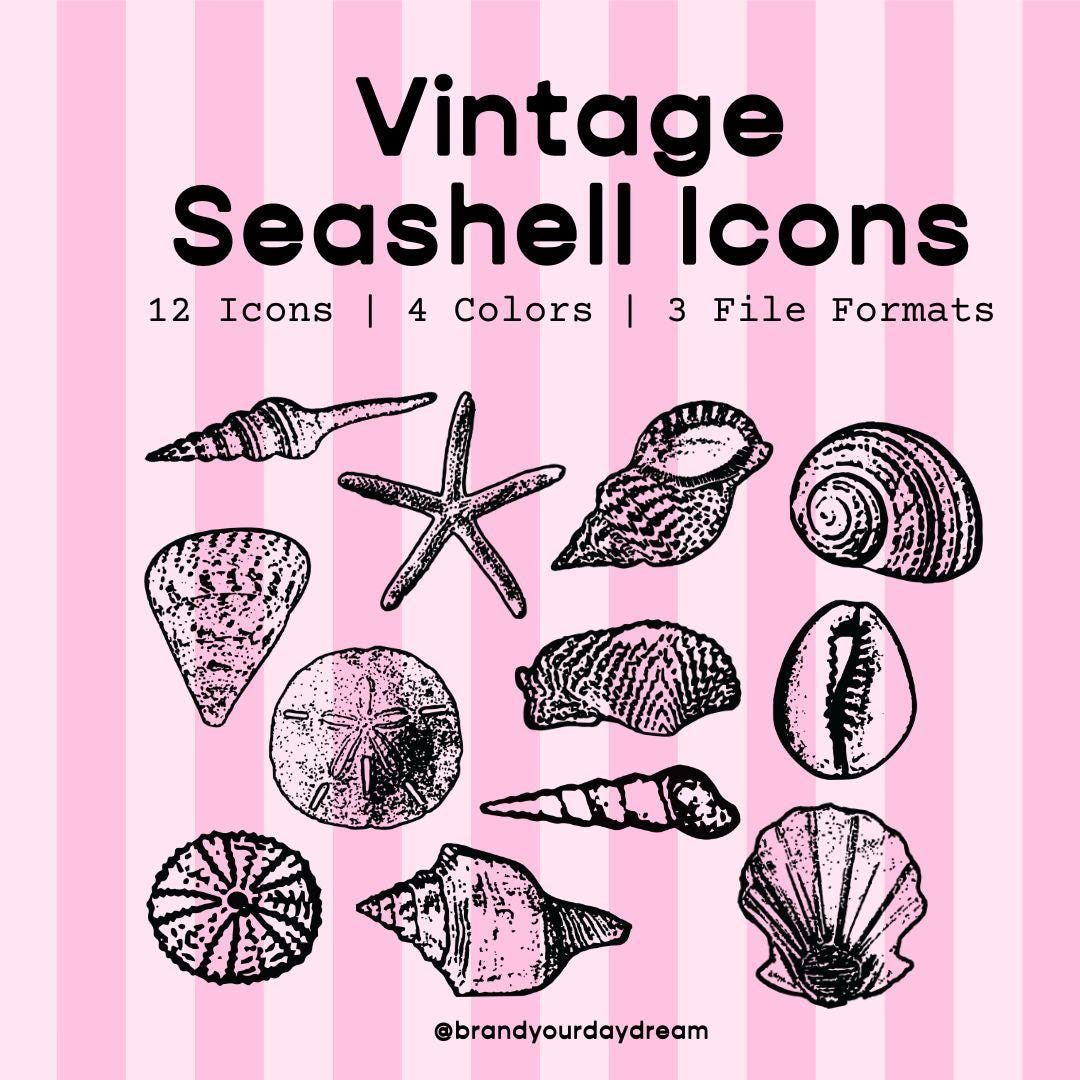 Vintage Seashell Clipart | Pastel Ocean Graphics PNG | Vector Clipart ...