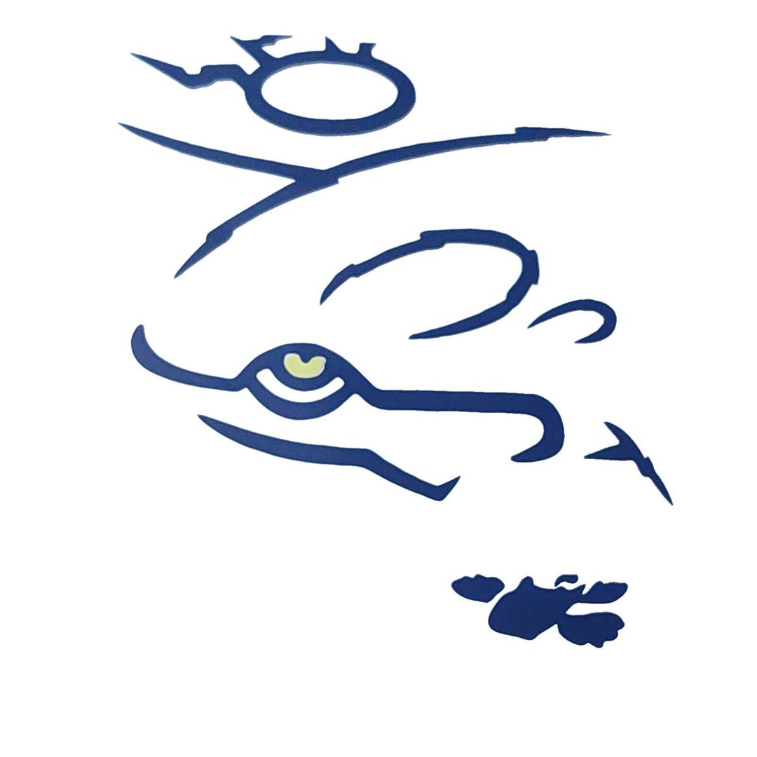 Gameboy Advance SP Kyogre Vinyl Decal Mod Sticker for GBA SP Foil - Etsy