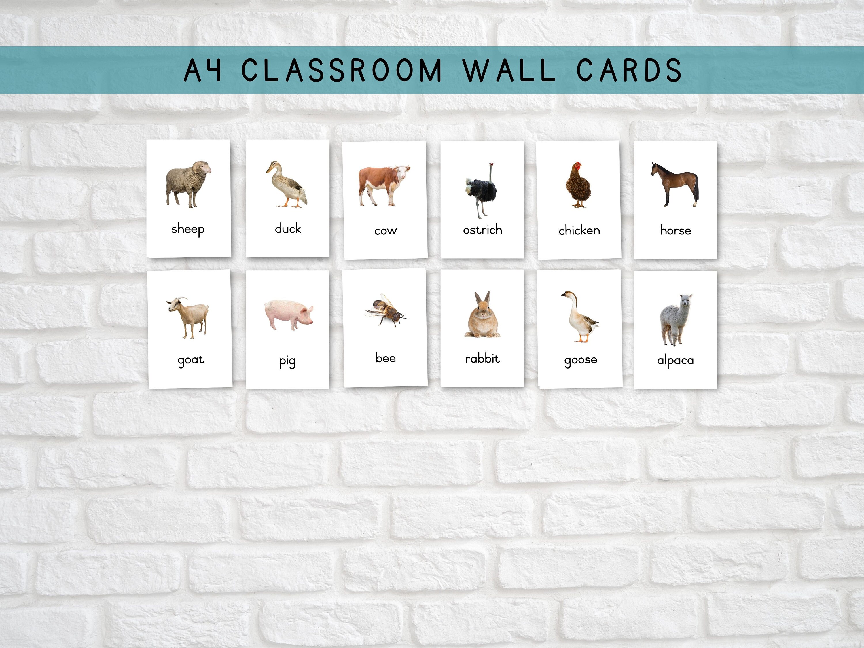 16 Farm Animal Flashcards for Primary Kids, Real Photos, Montessori ...