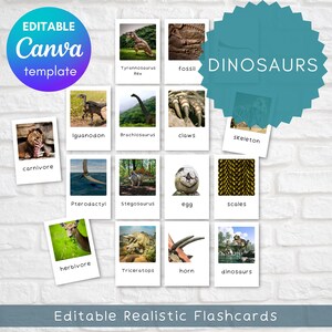 Dinosaurs Editable Flashcards for Canva, DIY Flashcards for Any ...
