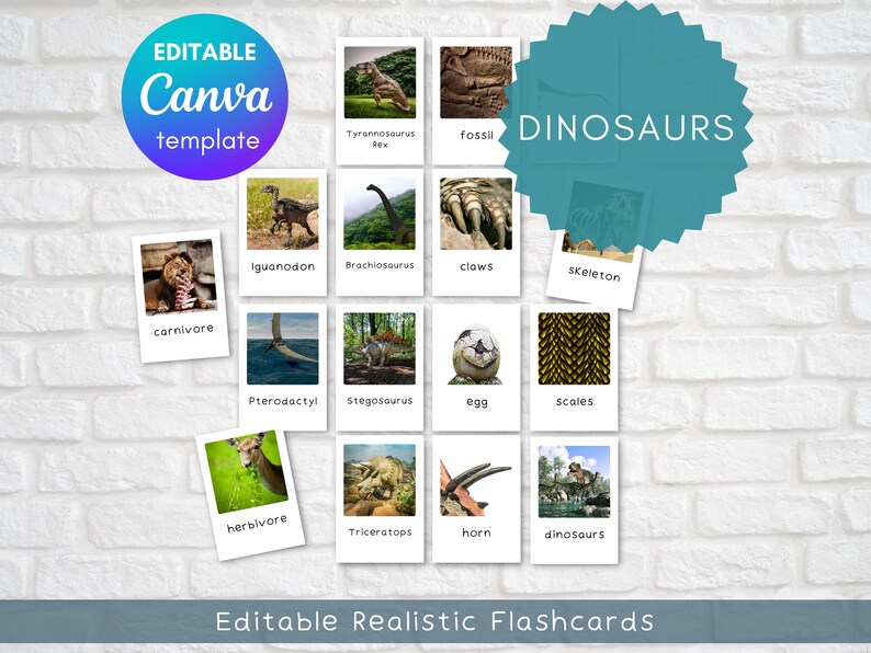 Dinosaurs Editable Flashcards for Canva, DIY Flashcards for Any ...