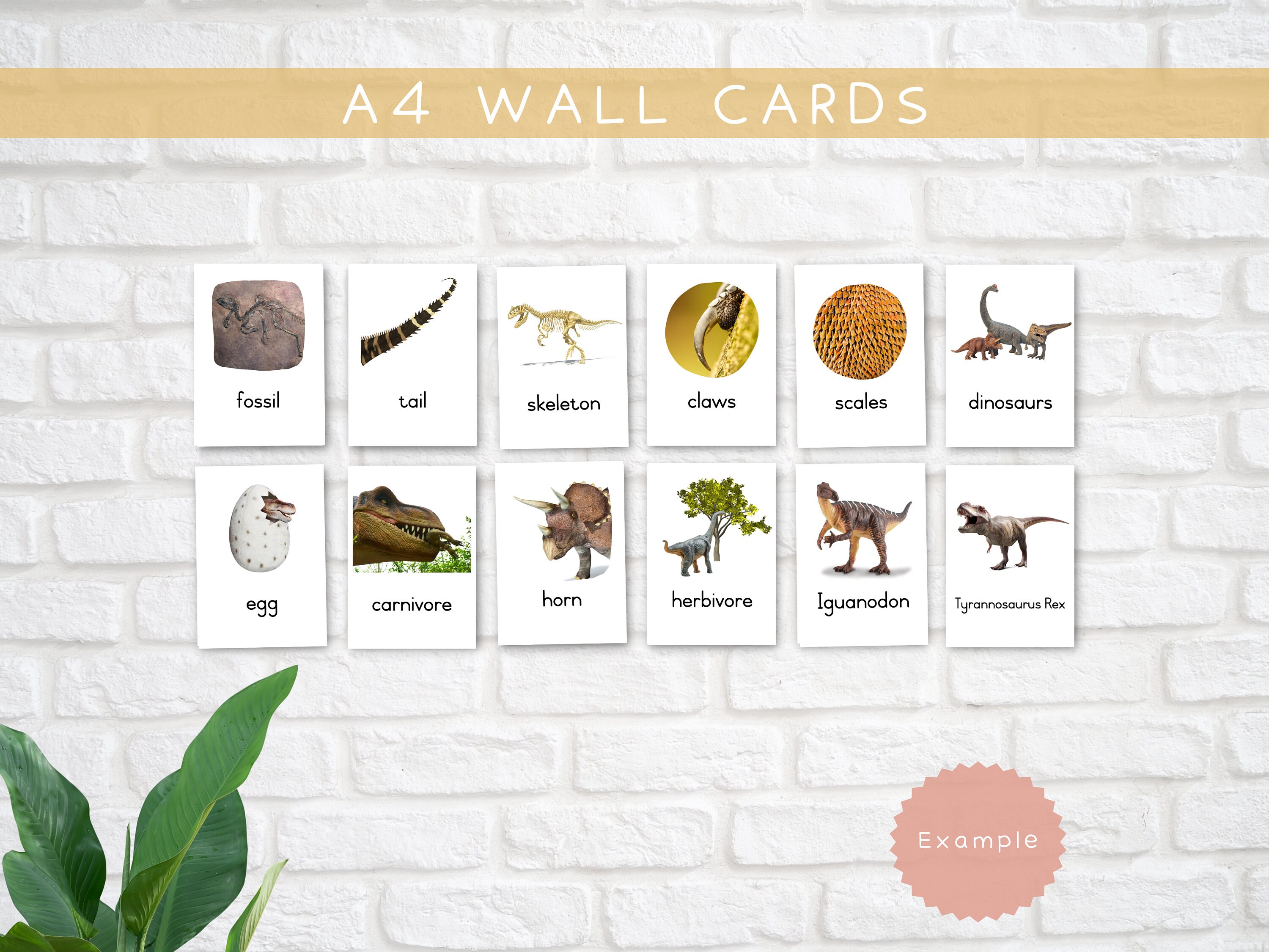 Flashcards Editable Template for Canva, DIY Flashcards for Any Language ...