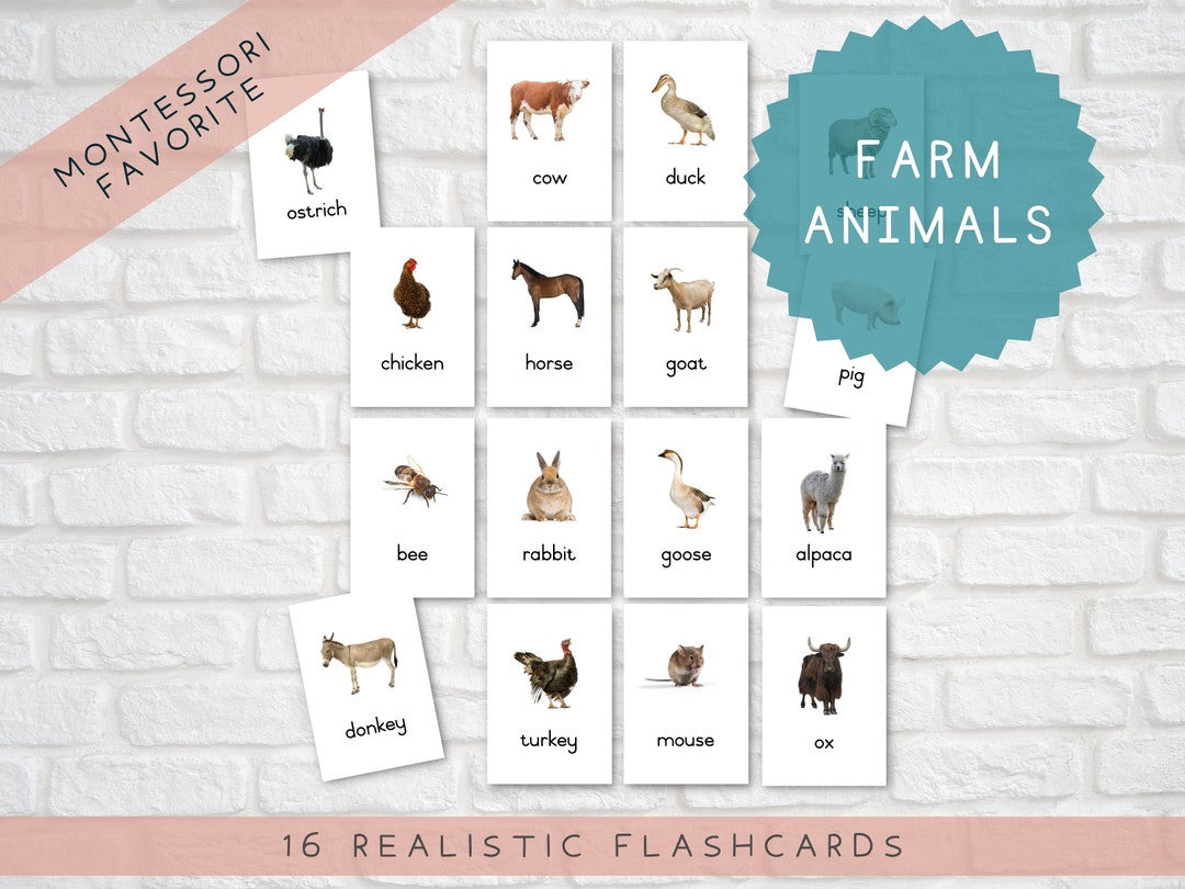 16 Farm Animal Flashcards for Primary Kids, Real Photos, Montessori ...