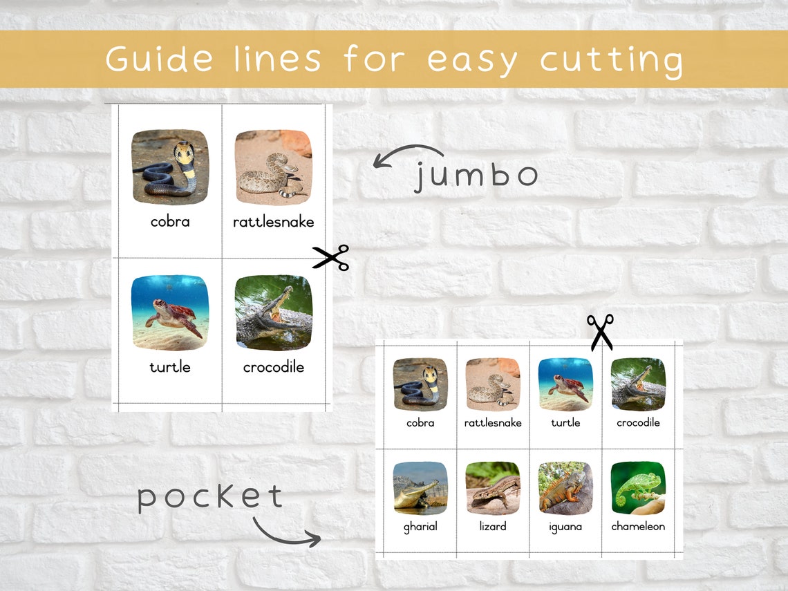Reptiles Editable Flashcards for Canva, DIY Flashcards for Any Language ...