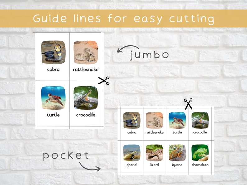 Reptile Flashcards – Editable Canva Template, Vocabulary Cards (digital ...