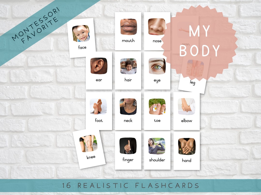 16 My Body Flashcards for Toddlers With Real Photos, Montessori Mom and ...