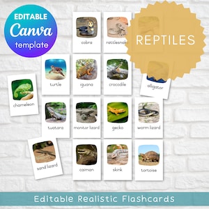 Reptiles Editable Flashcards for Canva, DIY Flashcards for Any Language ...