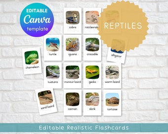 Flashcards Editable Template for Canva, DIY Flashcards for Any Language ...