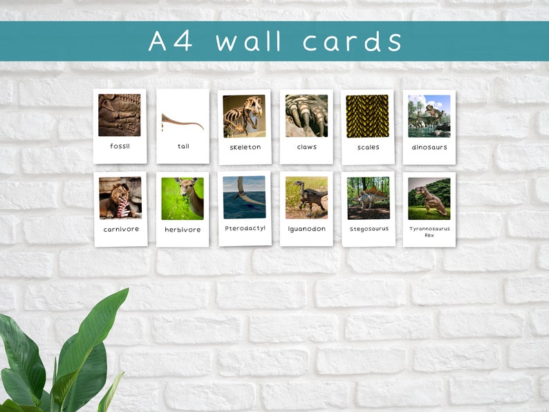 Dinosaur Flashcards Canva Template | Editable Vocabulary Cards (instant ...