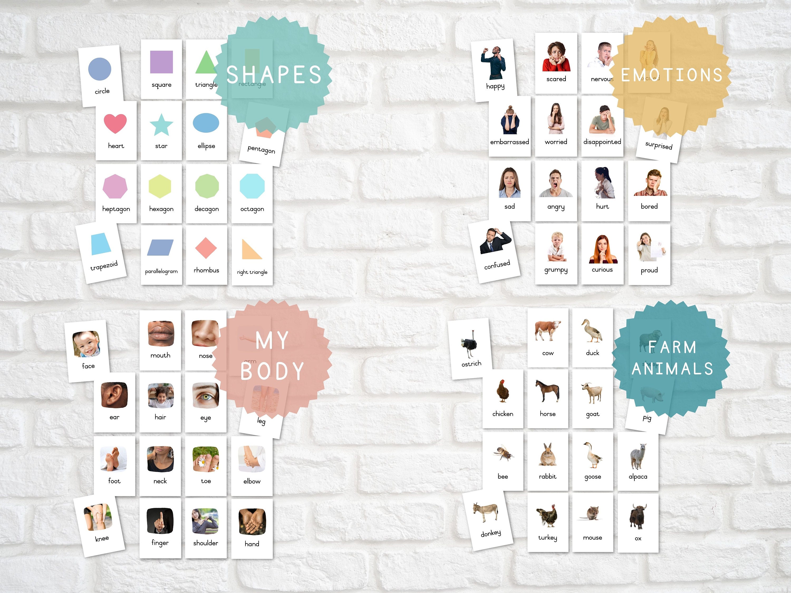 Maxi Flashcard Bundle for Language Beginners, Montessori Favorite ...