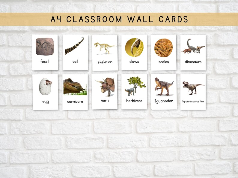 16 Dinosaur Flashcards for Primary Kids, Realistic Pictures, Montessori ...