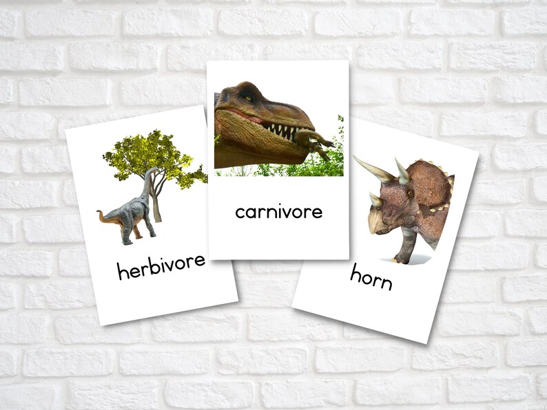 Flashcards Editable Template for Canva, DIY Flashcards for Any Language ...