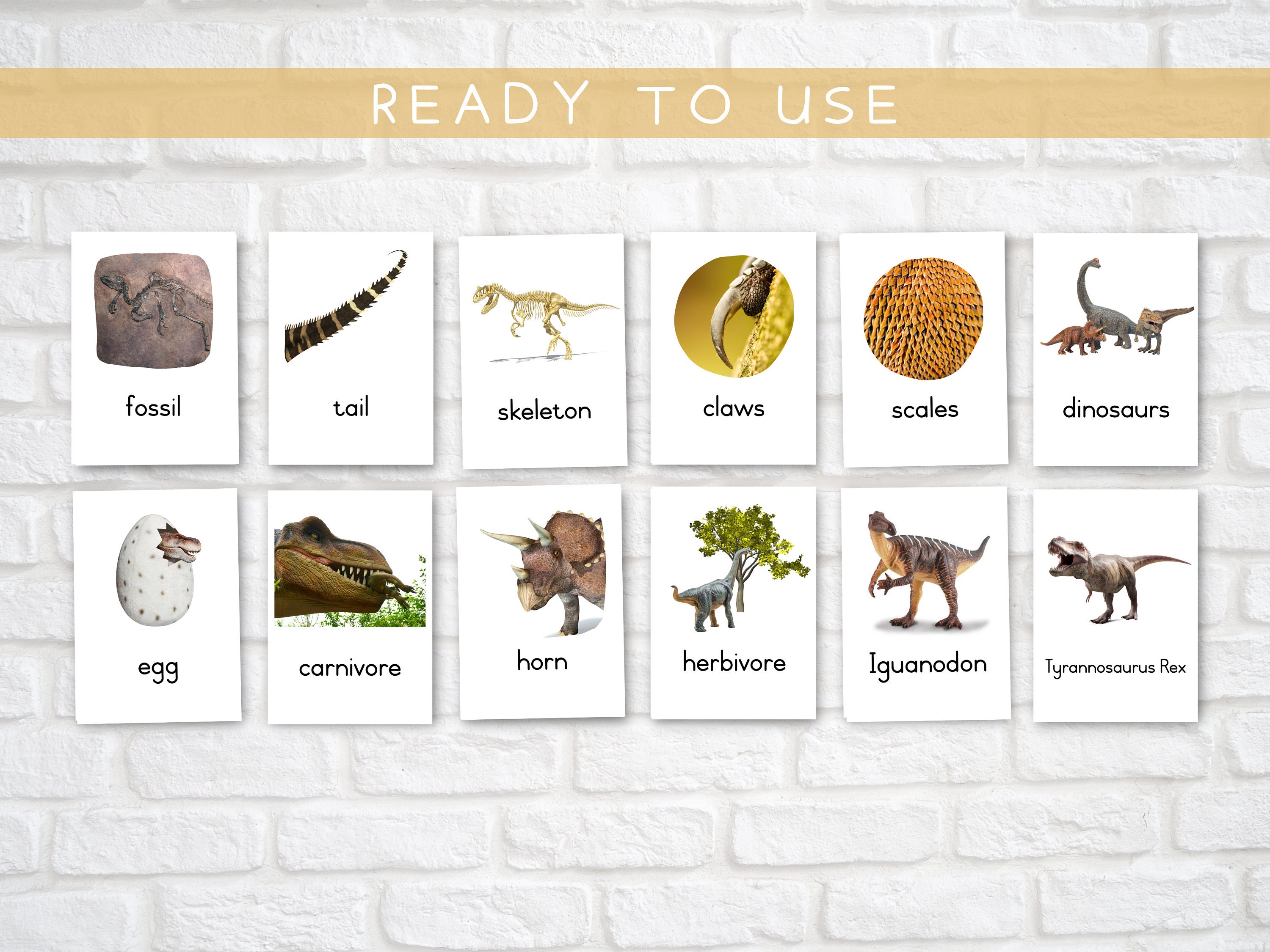Flashcards Editable Template for Canva, DIY Flashcards for Any Language ...