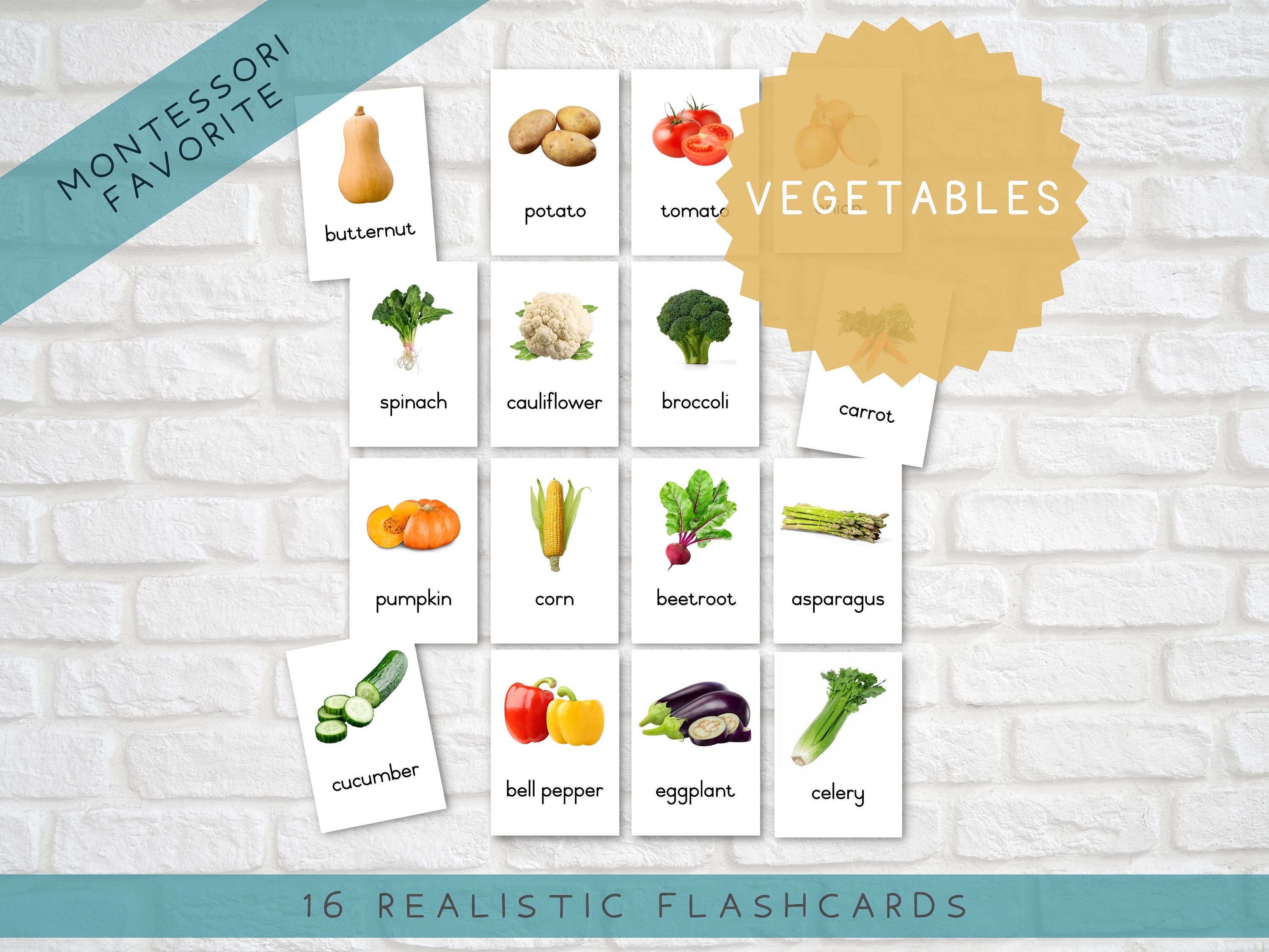 16 Vegetable Flashcards for Primary School With Realistic Images ...