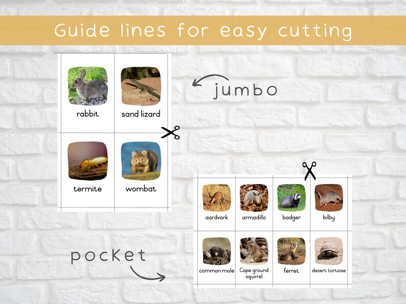 Animal Flashcards Editable Template for Canva, DIY Flashcards for Any ...