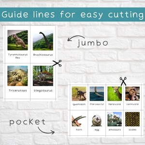 Dinosaurs Editable Flashcards for Canva, DIY Flashcards for Any ...