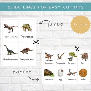 Flashcards Editable Template for Canva, DIY Flashcards for Any Language ...