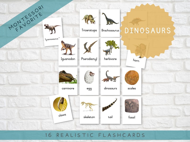 16 Dinosaur Flashcards for Primary Kids, Realistic Pictures, Montessori ...