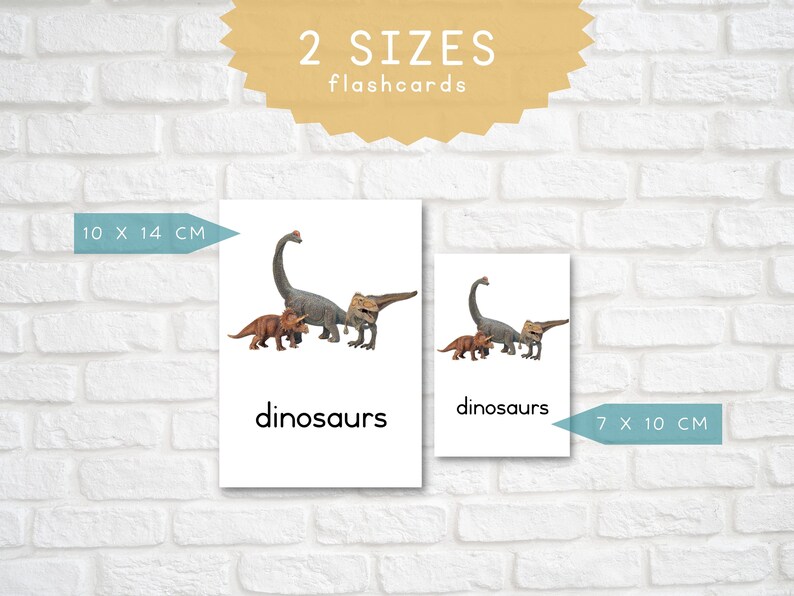 16 Dinosaur Flashcards for Primary Kids, Realistic Pictures, Montessori ...