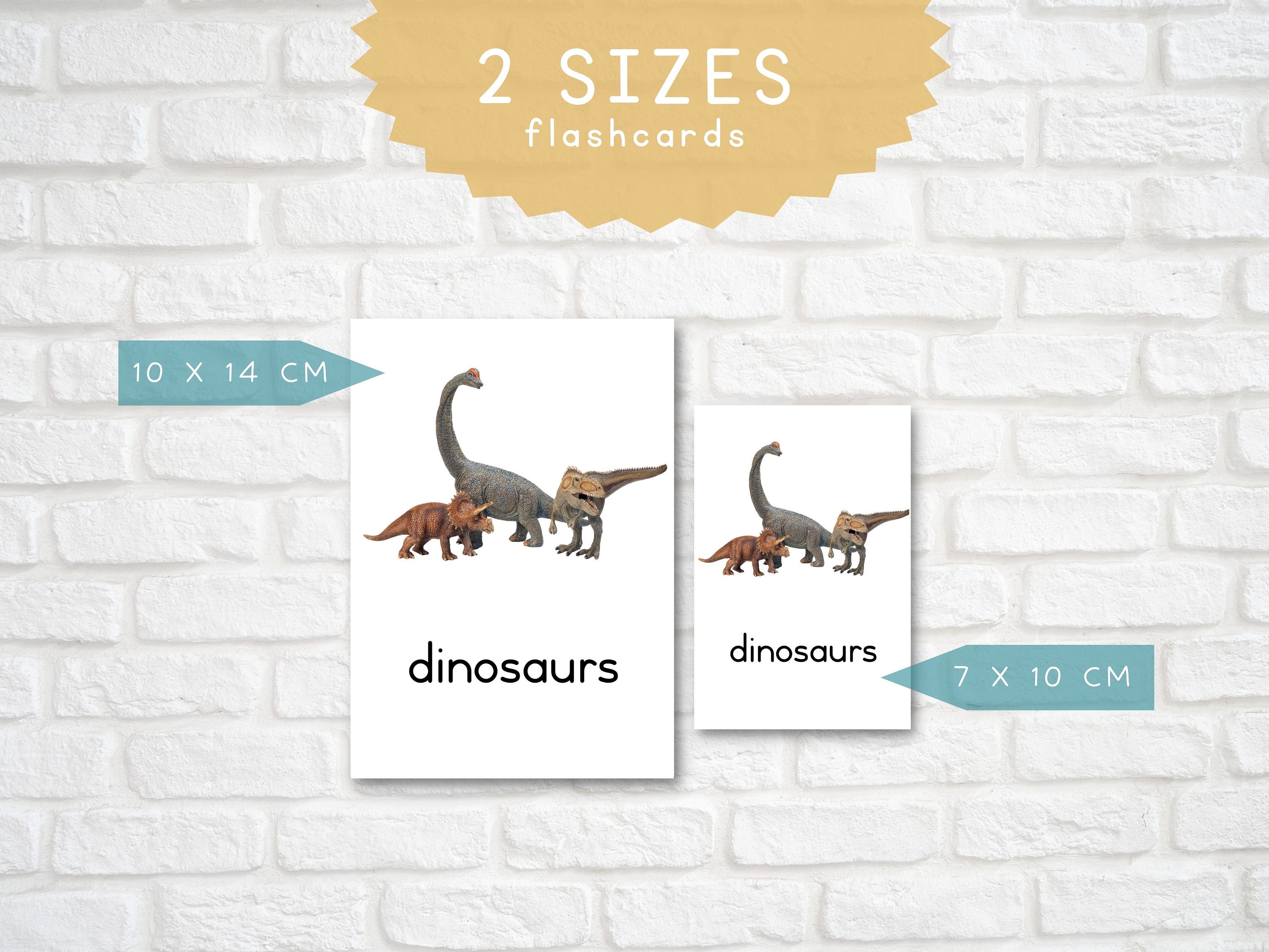 16 Dinosaur Flashcards for Primary Kids, Realistic Pictures, Montessori ...