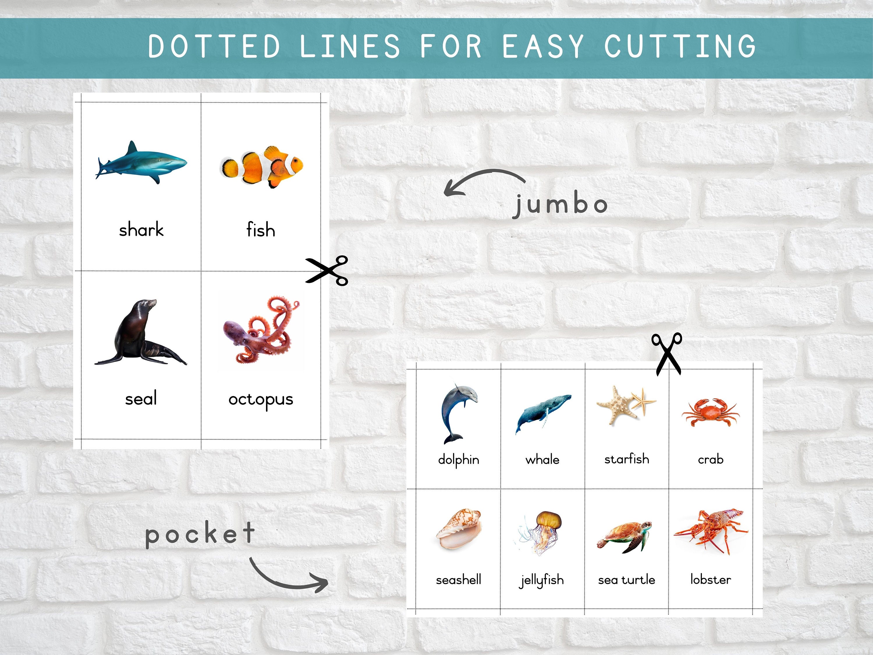 16 Sea Animals Flashcards for Preschool Kids With Realistic Images ...