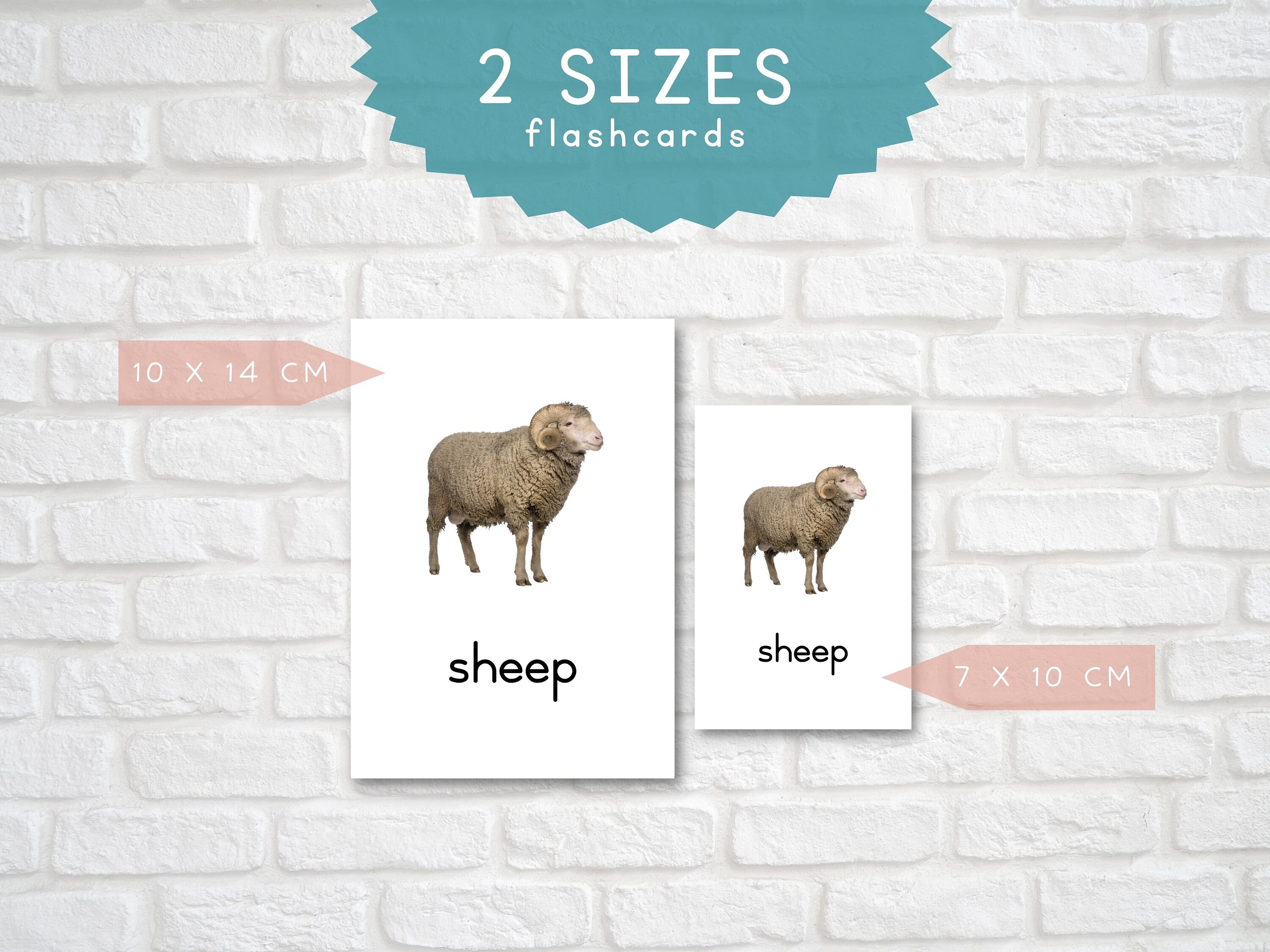 16 Farm Animal Flashcards for Primary Kids, Real Photos, Montessori ...