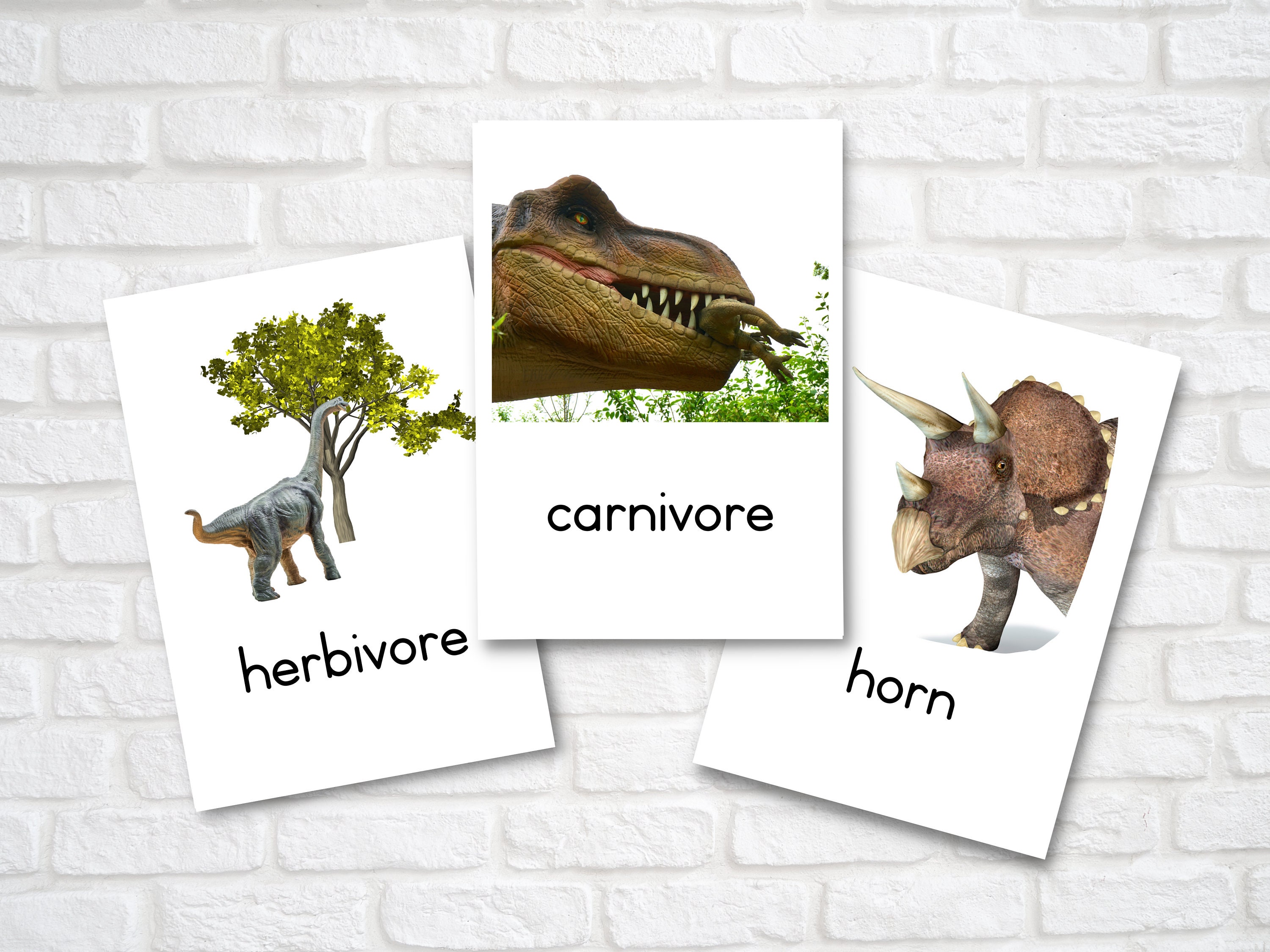 Flashcards Editable Template for Canva, DIY Flashcards for Any Language ...