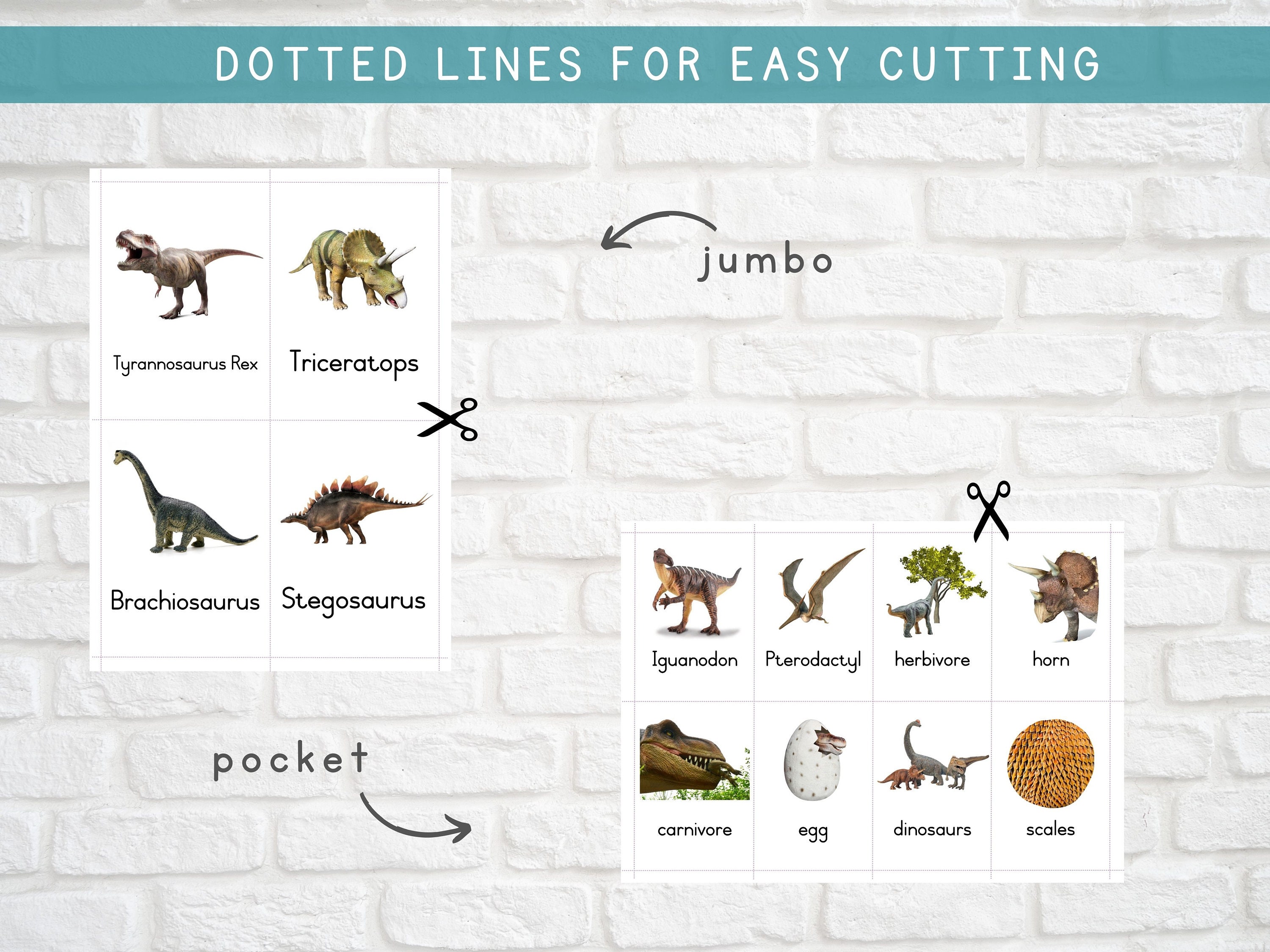 16 Dinosaur Flashcards for Primary Kids, Realistic Pictures, Montessori ...