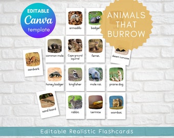 Flashcards Editable Template for Canva, DIY Flashcards for Any Language ...