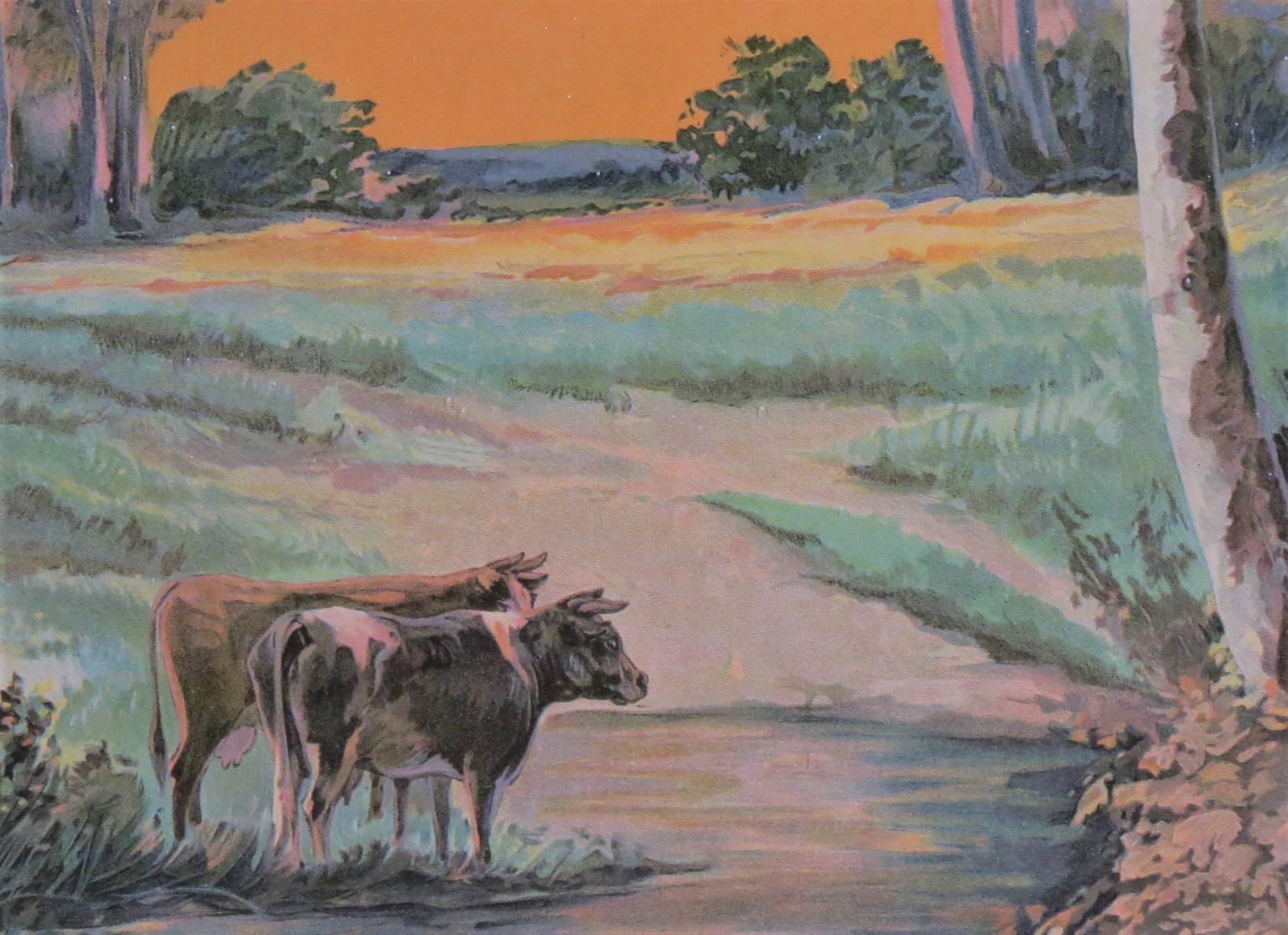 Vintage Color Lithograph Depicting a Pair of Cows at a Pond. - Etsy
