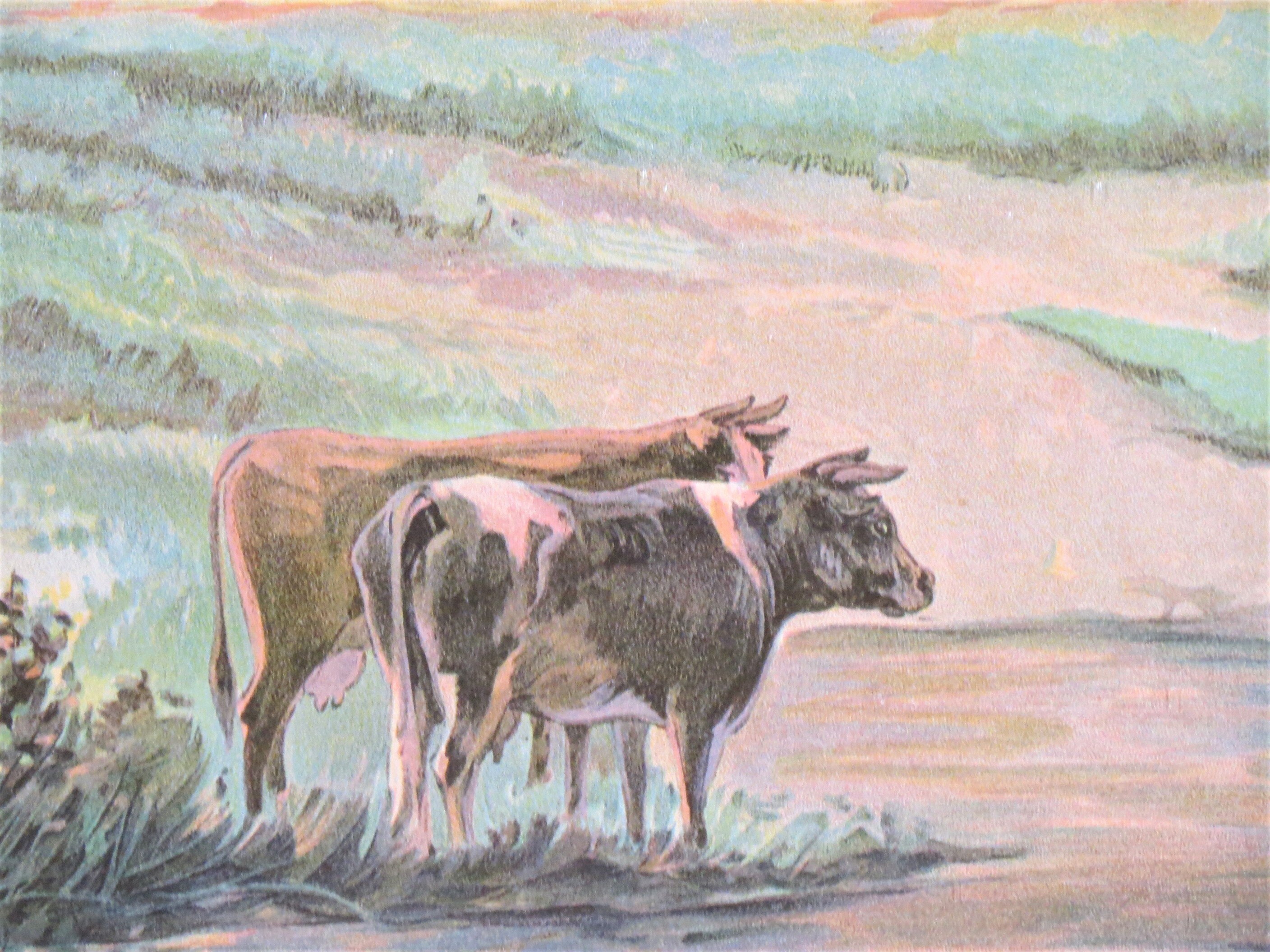 Vintage Color Lithograph Depicting a Pair of Cows at a Pond. - Etsy